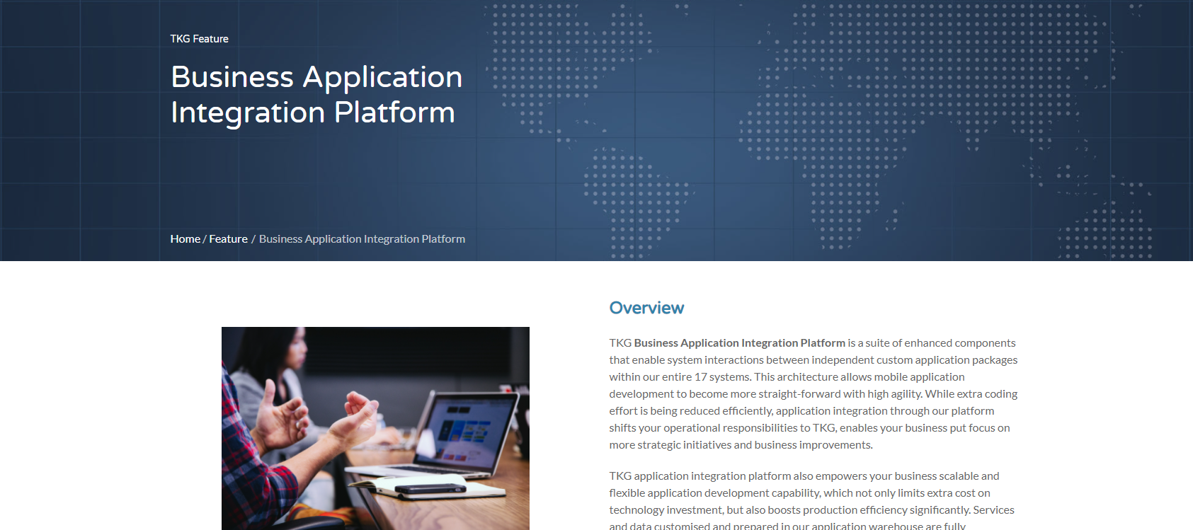 Business Application Integration Platform